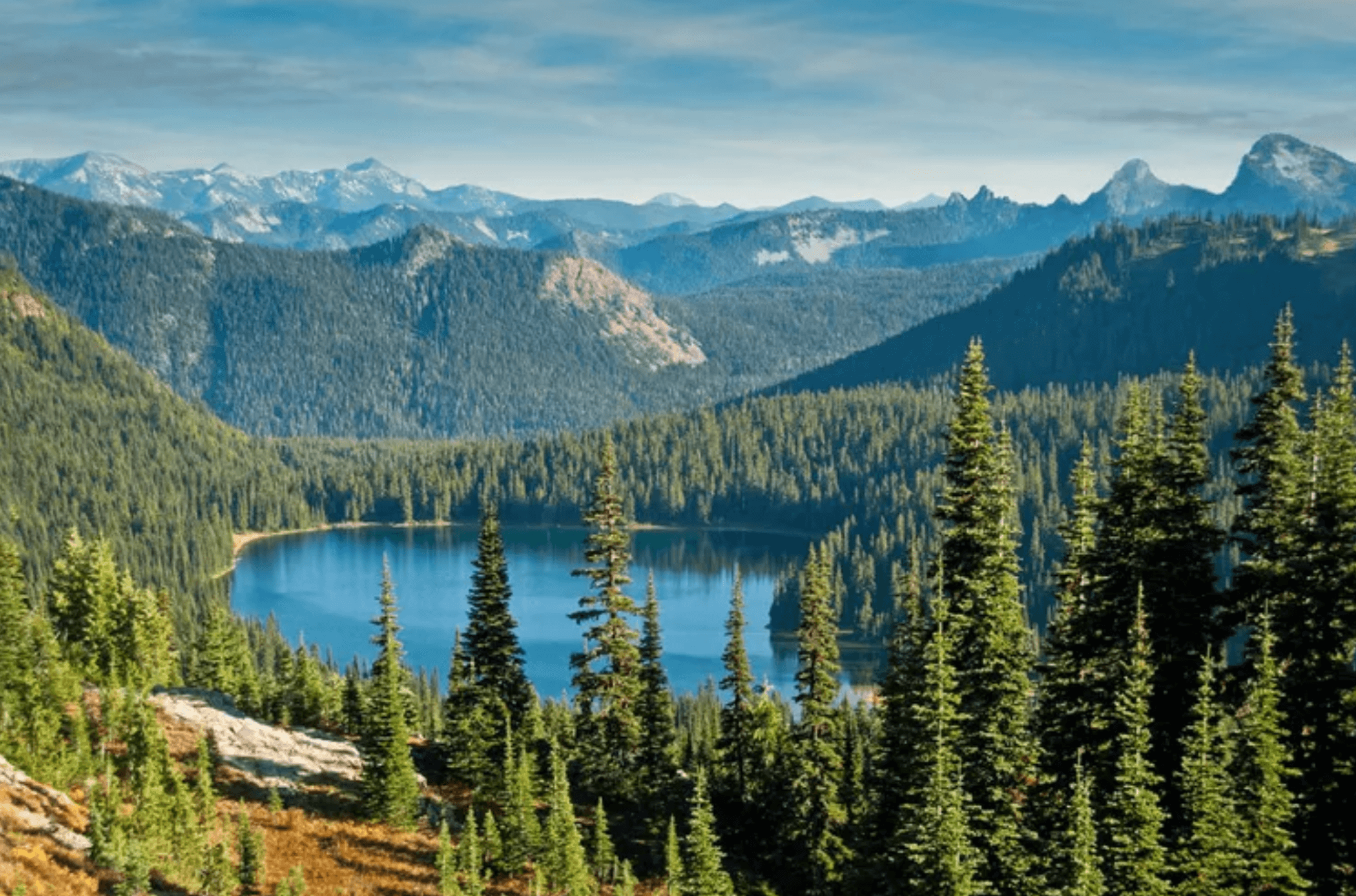 Employment | Sunchild First Nation